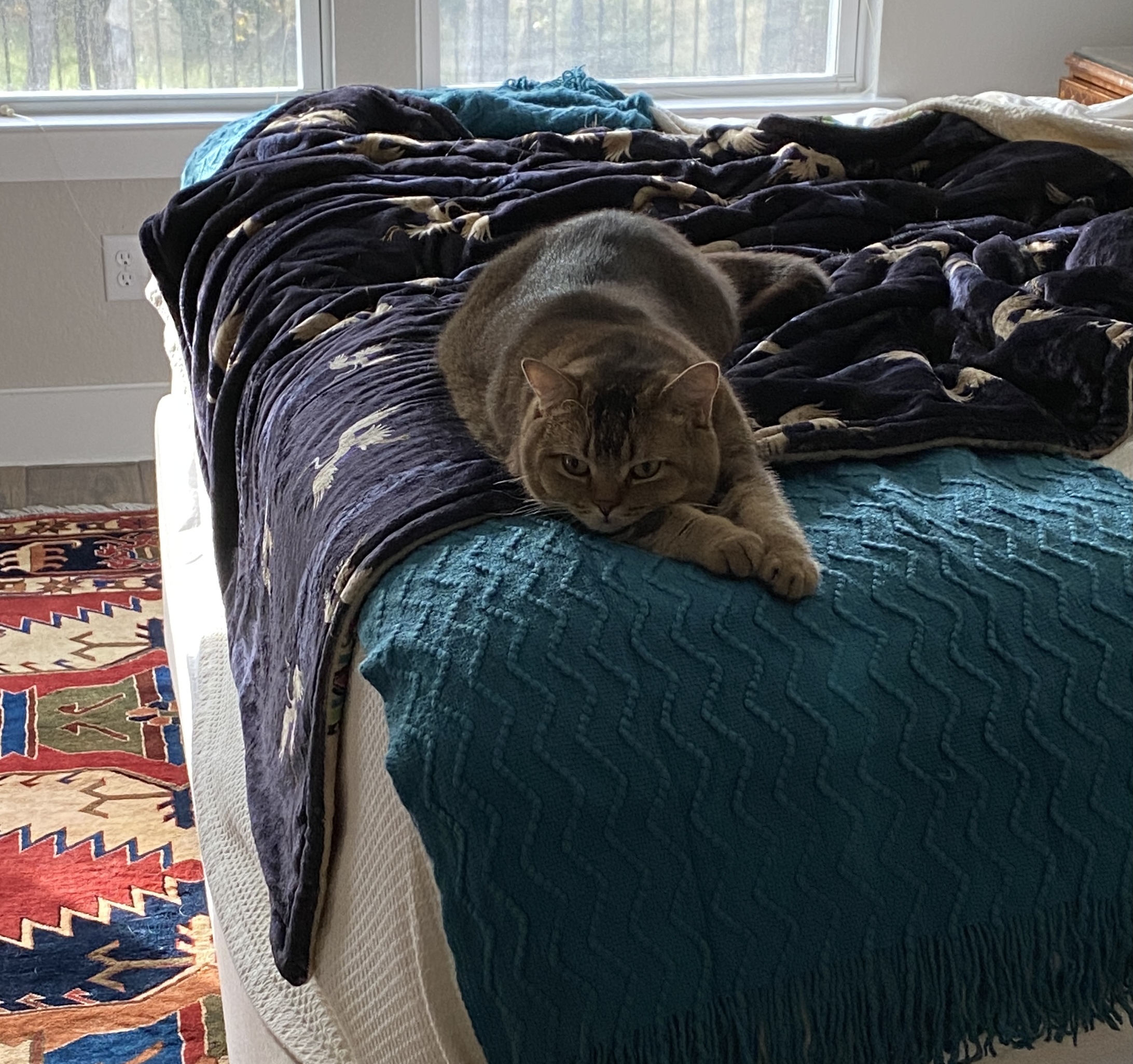 Important Concepts – Dr. Barbara Bergin