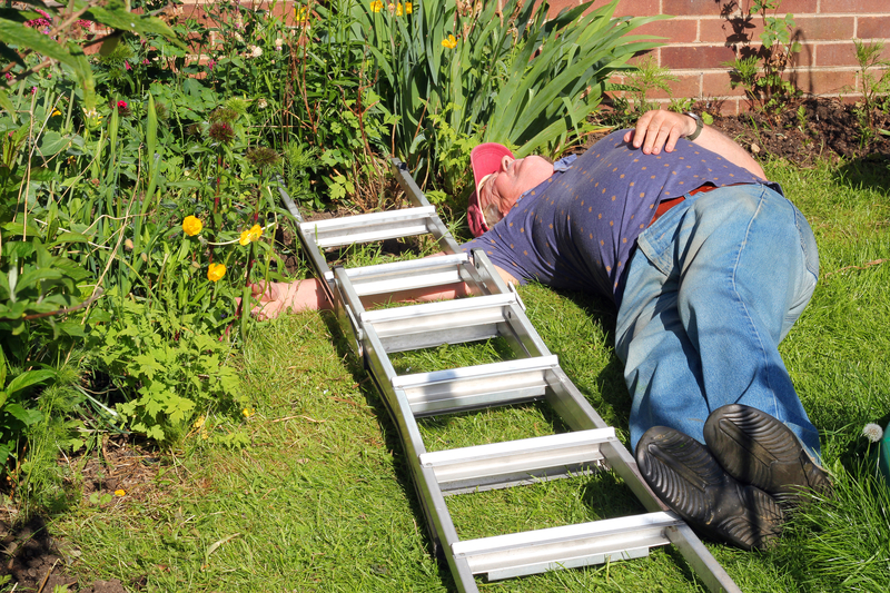 WHAT I DO: MORE LADDER SAFETY – Dr. Barbara Bergin